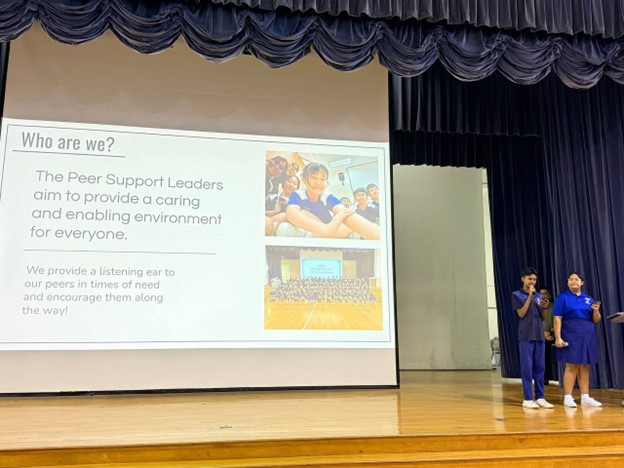 Peer Support Leaders